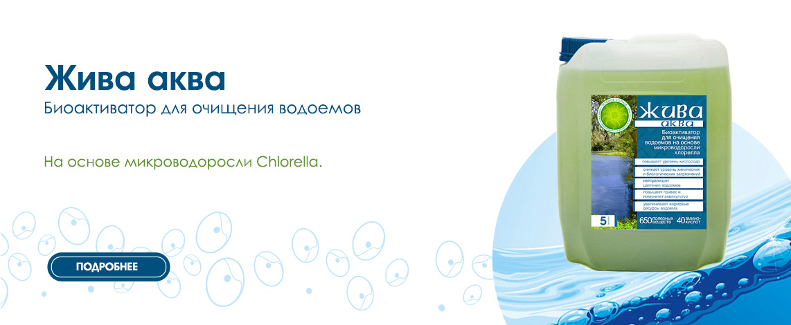 Живая хлорелла от производителя купить с доставкой по всей России